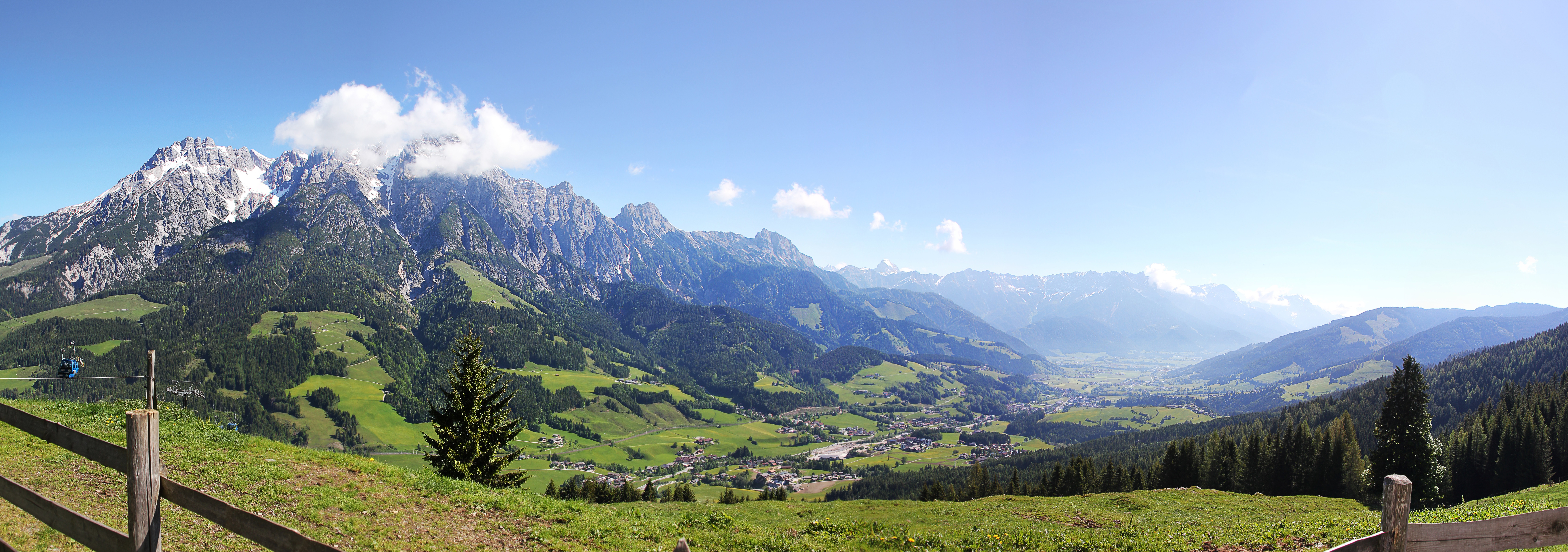 Alm / Alp / Alpe | Blühendes Österreich